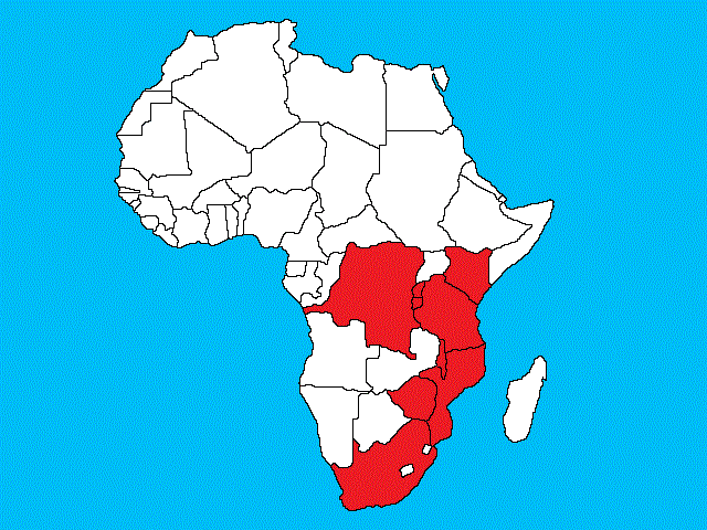 Species List African Moths